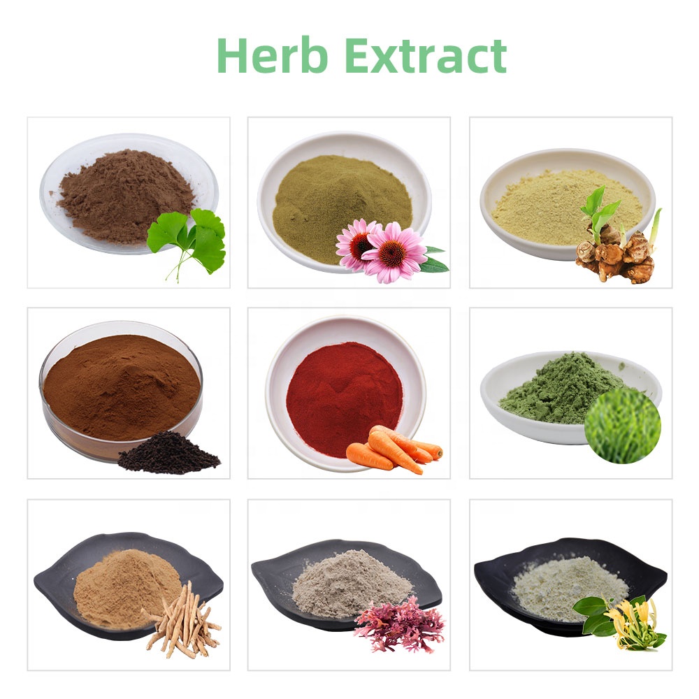 Reliable Solutions for Your high quality hordenine hcl bulk powder ...