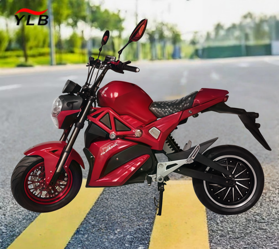 Dual-motor Electric Motorcycle with 800W Power Patin Ete in Retro Style ...