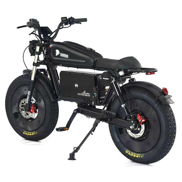 Himoto Ebike 3000W 60V 45ah - City Commuting Electric Bike