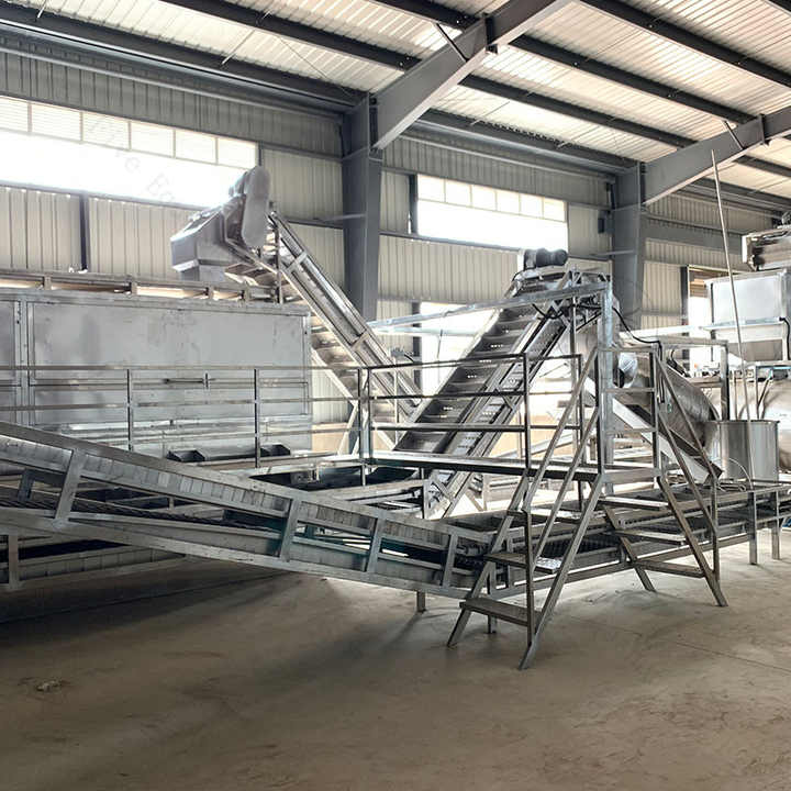 Macadamia Nut Finishing Line - Advanced Processing Equipment