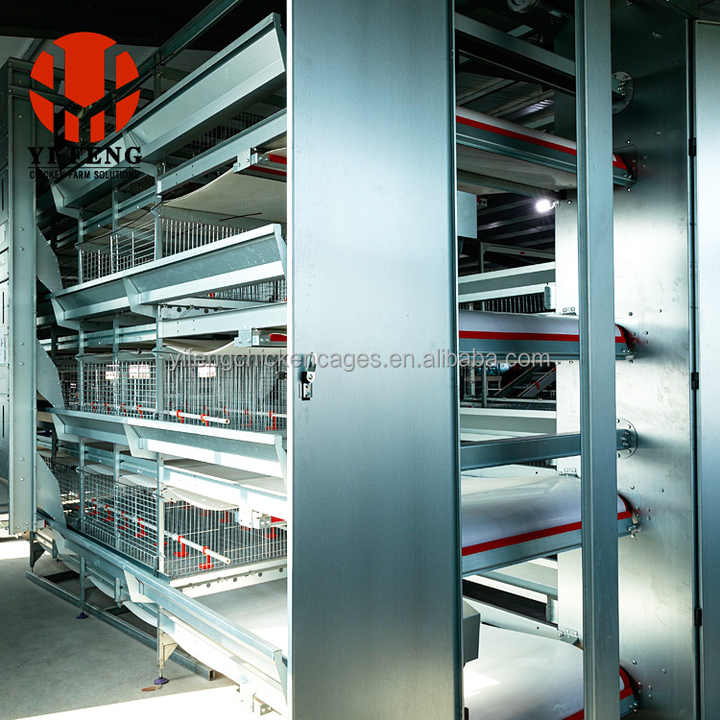 1000 Chicken Layer Cage - H Type Poultry Farm Solution