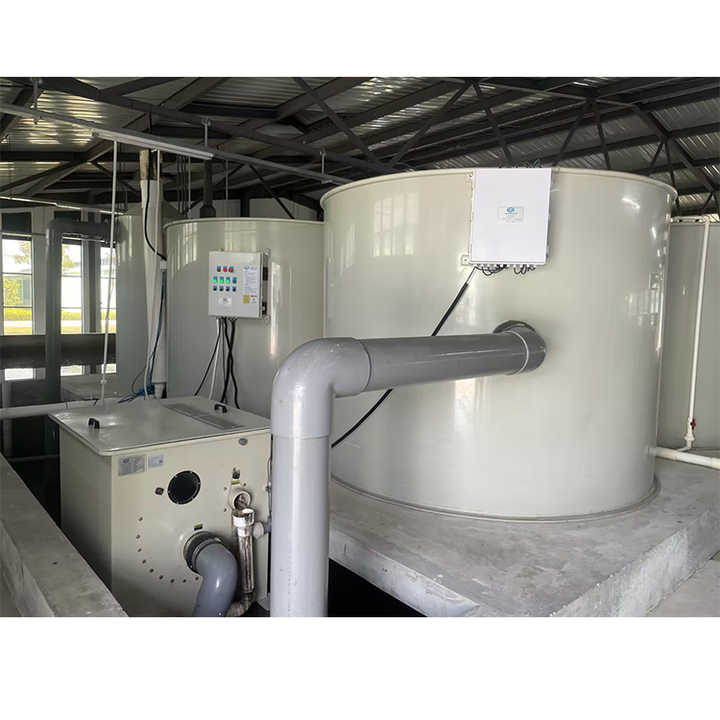 Indoor Sea Fishing Farm - Efficient Aquaculture Solutions