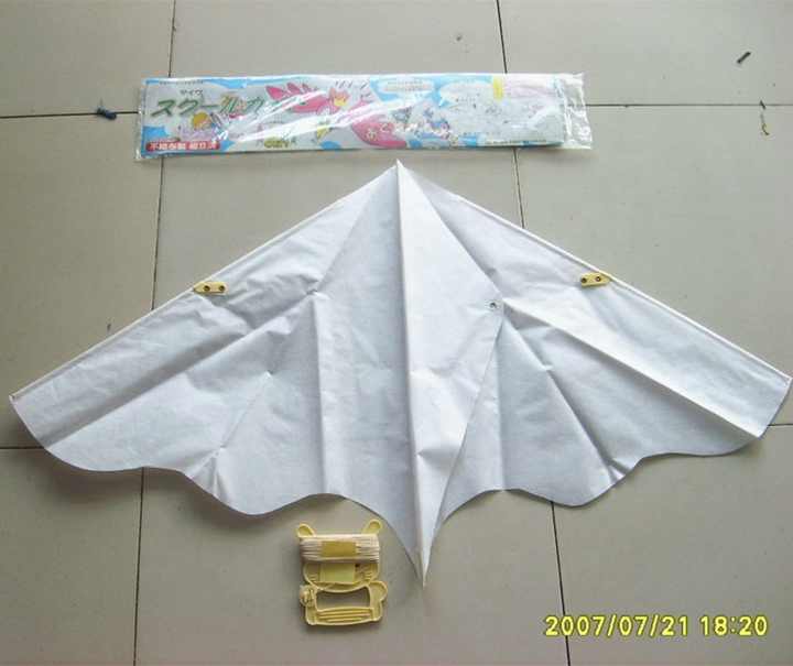 Delta Kite Hand Drawing Kite for Promotion for Children DIY
