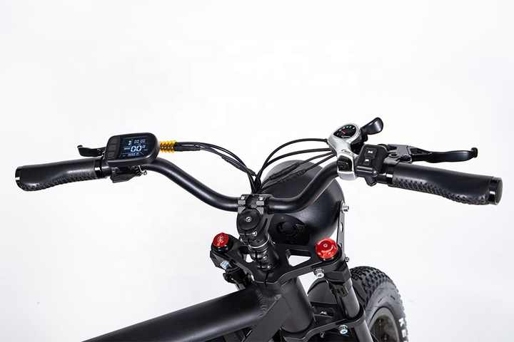 Electric Scooter with Sidecar - Smart & Versatile Mobility