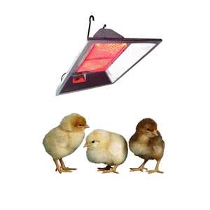 Buy Wholesale infrared lpg gas brooder poultry heater For Livestock ...