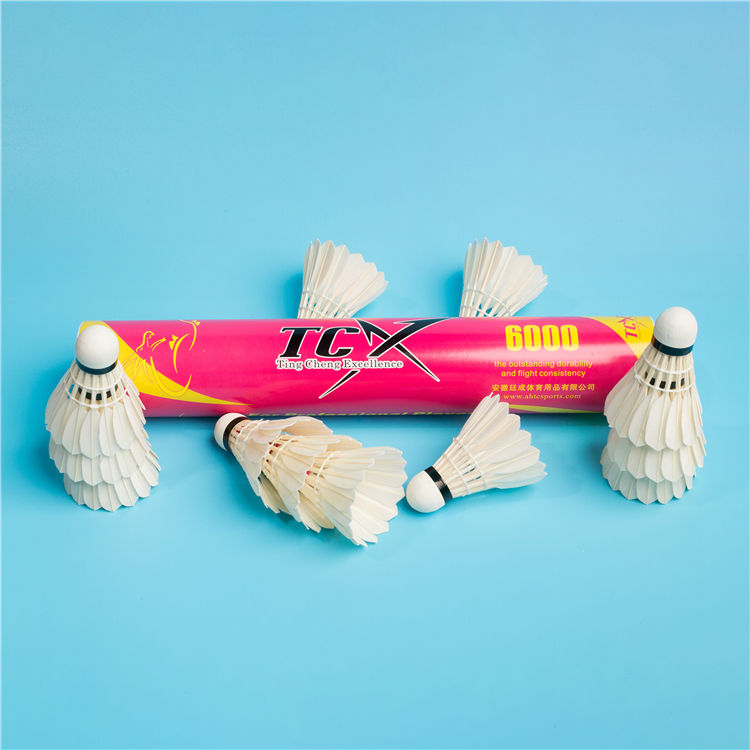 How to Choose the Best Birdie Badminton Machine: A Complete Buying Guide