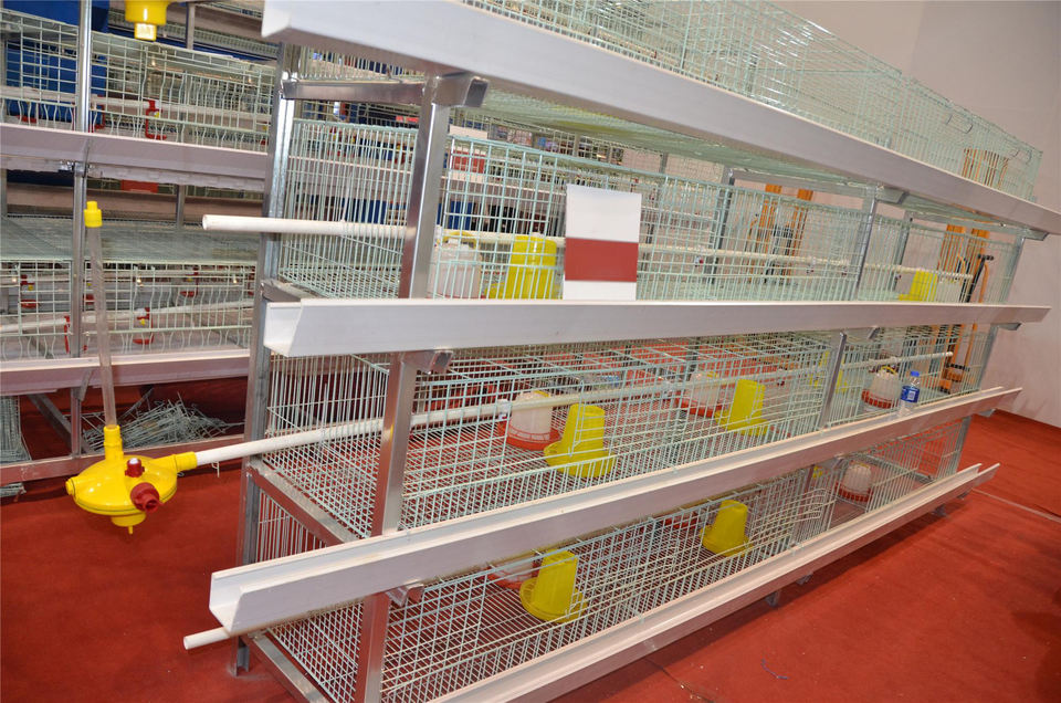 H Type Broiler Cages Wire Mesh Farm Rooster Cage Modern Chicken House ...