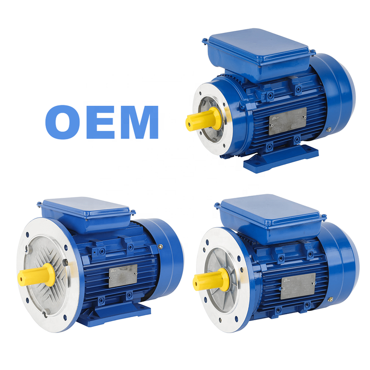 F-Class Insulation Single Phase Aluminum Housing Induction Motor for ...