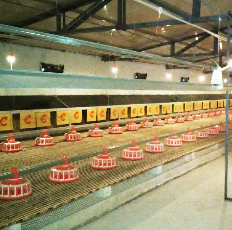 Get A Wholesale egg breeding machine For Your Poultry Business ...