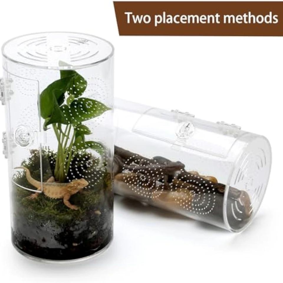 Custom Round Cylinder Acrylic Tarantula Spider Enclosures Magnetic With ...