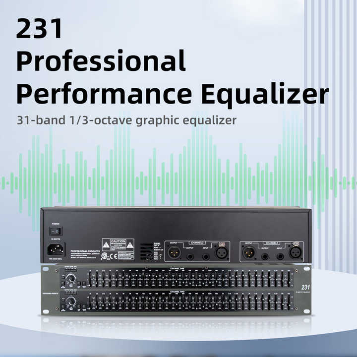 COKYIS 231 Dual 31 Band Graphic Equalizer for Professional Audio