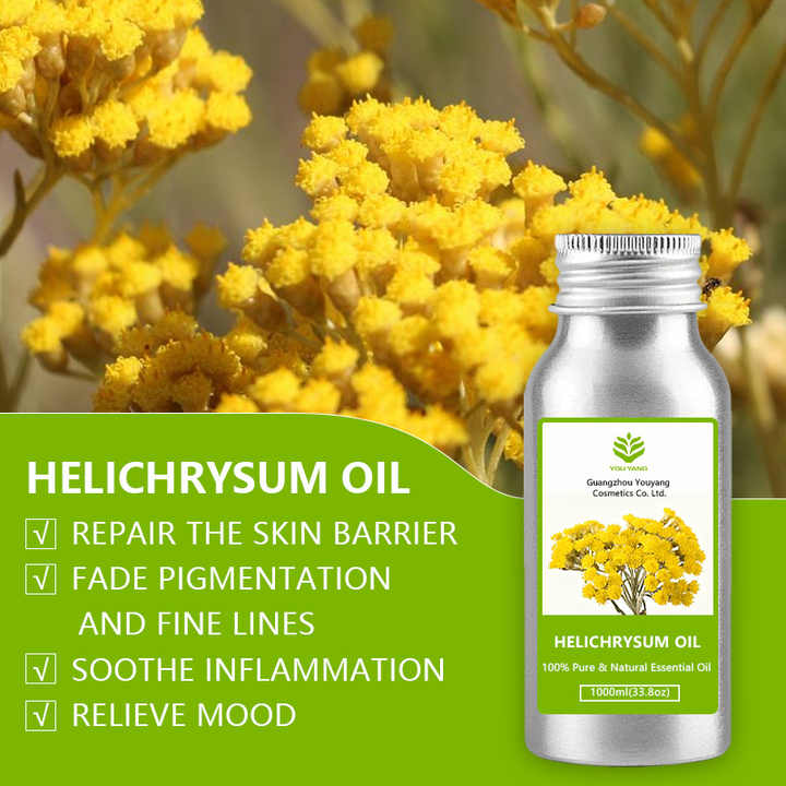 Organic Bulk Helichrysum (Immortelle) Oil Wholesale Helichrysum ...