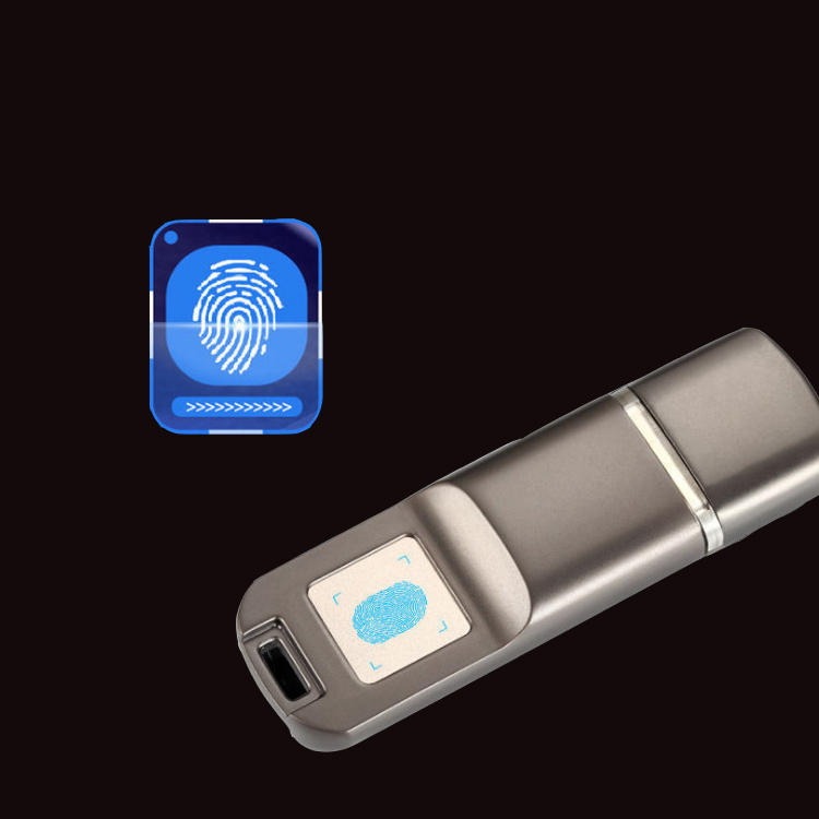 MOQ 1 PC 128gb 256gb 512gb Black Silver Metal Pen Drive Fingerprint ...