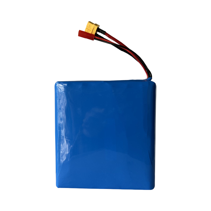 High Rate Discharge E-Bike Battery LiCoO2 25.2V 4Ah 1500 Cycles Model ...