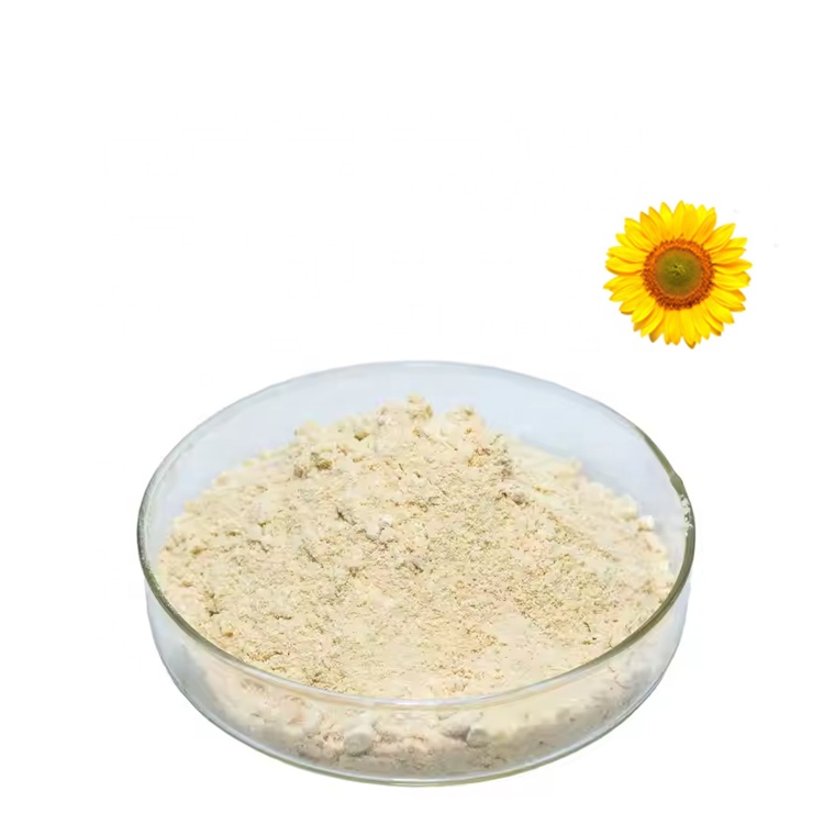 How to Choose Kosher Fermented Soy Powder Korean: Ultimate Buying Guide