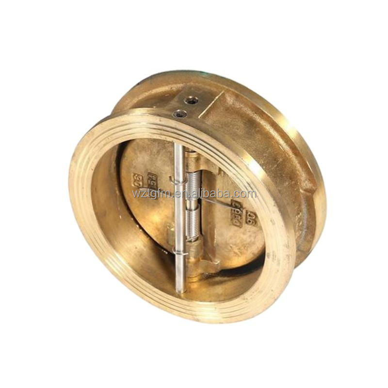 Marine Dual Plate Check Valve Aluminum Bronze Wafer Type Check Valve ...