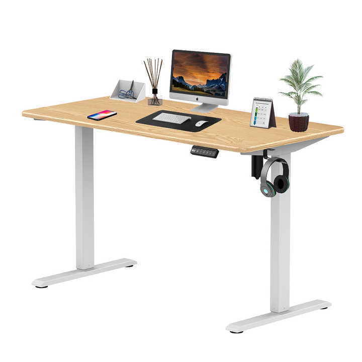 Affordable Single Motor Electric Smart Standing Tables