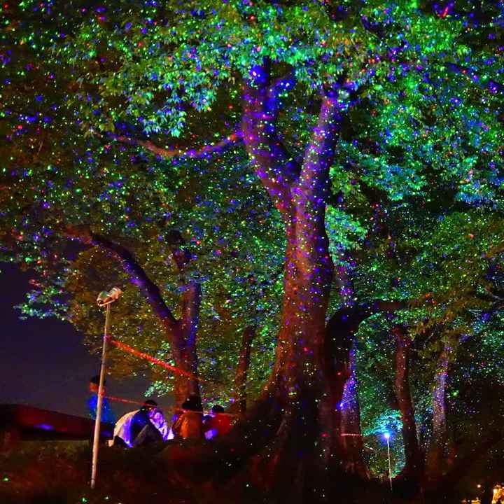 X-Laser RGB Firefly Laser Projector, IP65, Outdoor Light Projector with ...