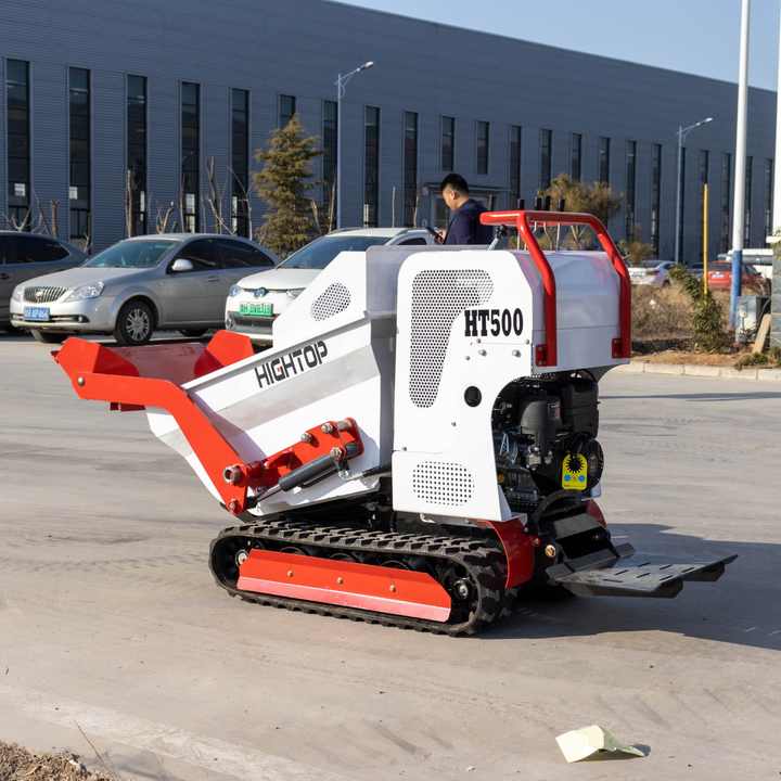 Remote Control Crawler Loader Agricultural Mini Crawler Dumper Garden ...