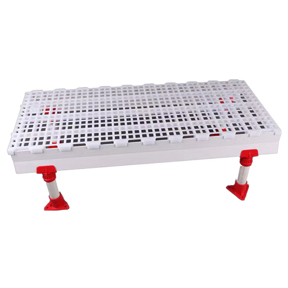 RS-41 Slat Floor Chicken House - Efficient Poultry Housing