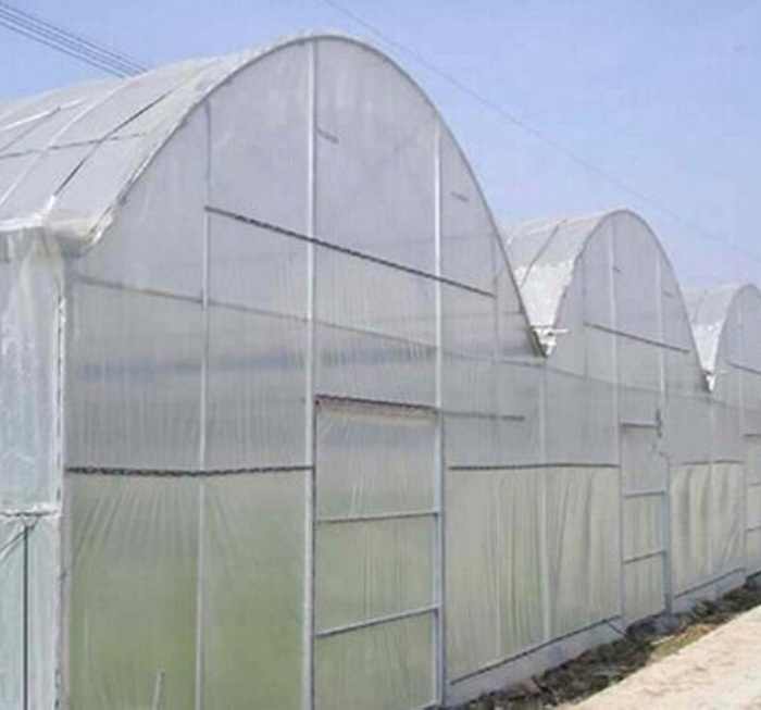 Insect Netting 40 Mesh - HDPE Insect Screen for Greenhouses
