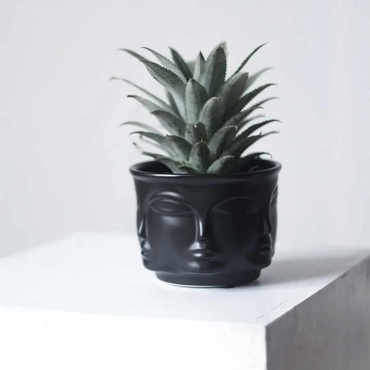 Boho Planters & Homesense Pots - Stylish Ceramic Pottery