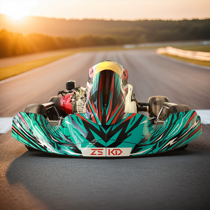 Zhuoyuan 140km/h Go-Kart OK KF Fast Petrol Racing Go Kart 125cc 2 ...