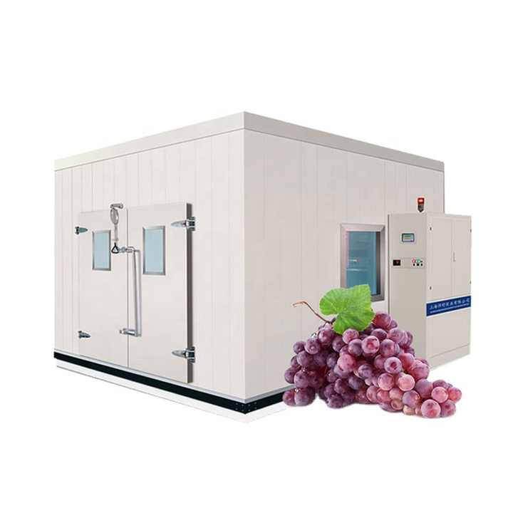 Detachable Cold Storage Freezing Room - Efficient & Durable