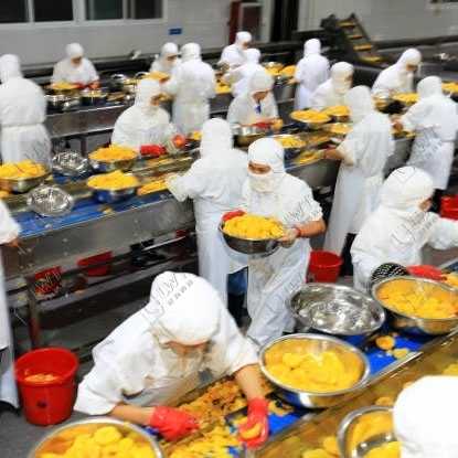 LWT Industrial Canned Fruit Yellow Peaches Processing Machine