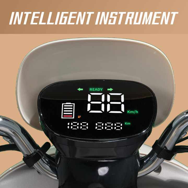 SMPLLO City Travel Electric Bicycle1000W Motor Lead Acid/Lithium ...