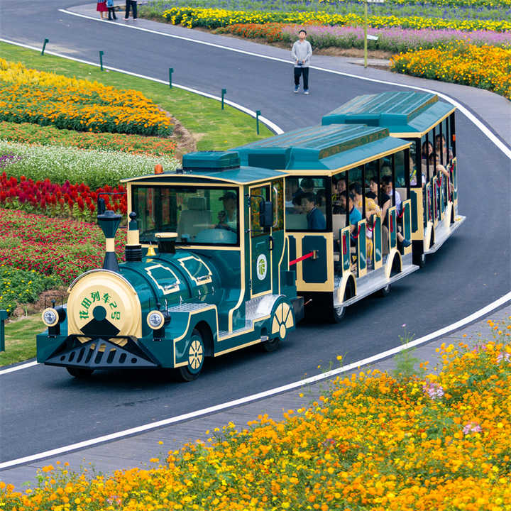 EG Manufacturer Electric Sightseeing Tourist Dotto Trains for Sale
