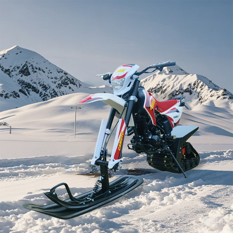 250cc Moto Snowmobile - off-Road Motorcycle for All Seasons