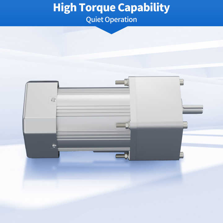 Lunyee 220v 25w Low Speed High Torque Single Phase Electric Ac ...