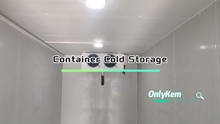 40 Feet Refrigerated Container Cold Room for Frozen Chicken Storage ...