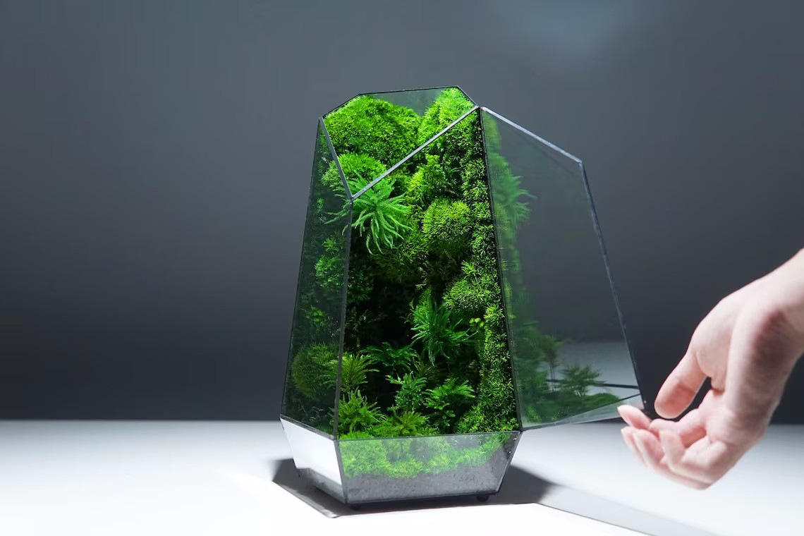 How to Choose the Best Aquarium Botanicals for Your Tank