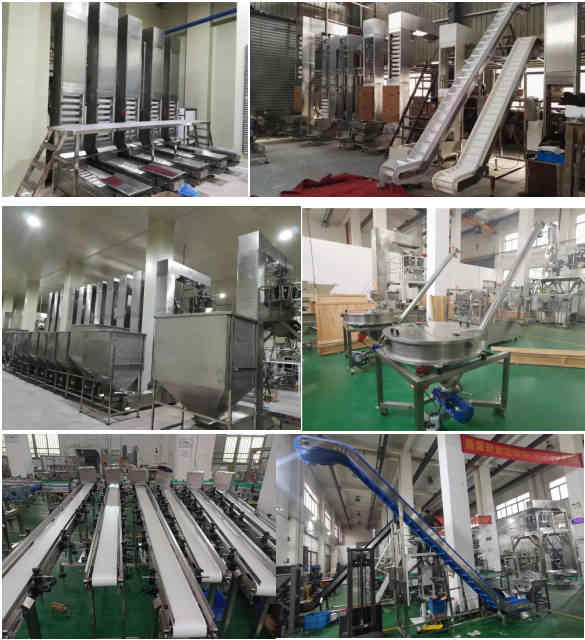 Small Inclined Food Grade Belt Conveyor for Fruit Industry