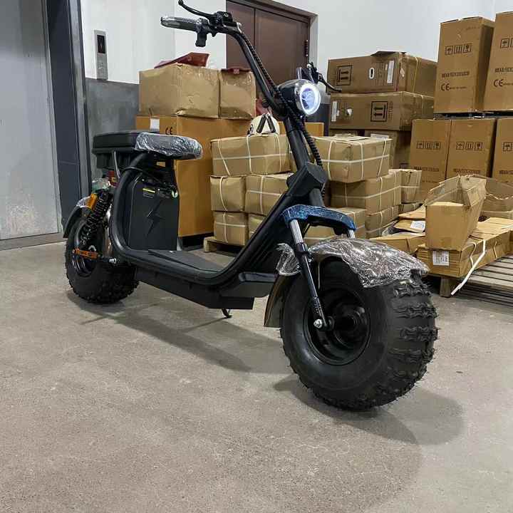 Sample Available Personalized Citycoco Pro1000W 1500W 2000W off Road ...