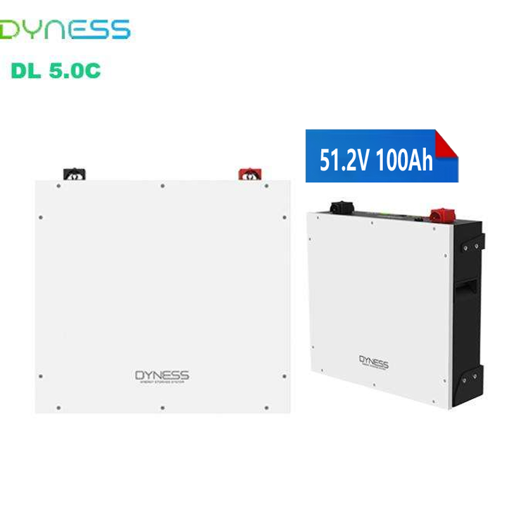 Dyness DL5.0C 51.2V 100AH Lifepo4 Battery 6000 Cycle 95%DoD 1C Discharging Wall Mounted Solar ...