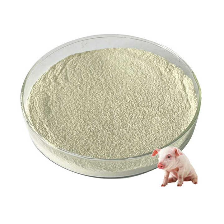 Xylanase Feed Additive Feed Enzyme for Aquaculture| Alibaba.com