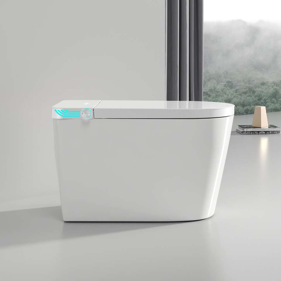 Modern High-End Intelligent Smart Toilets Remote Control Advanced S ...