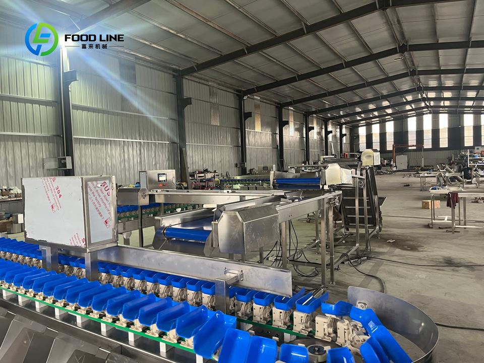Egg Weight Grading Sorting Machine 0.1-1g Accuracy Weight Sorting ...