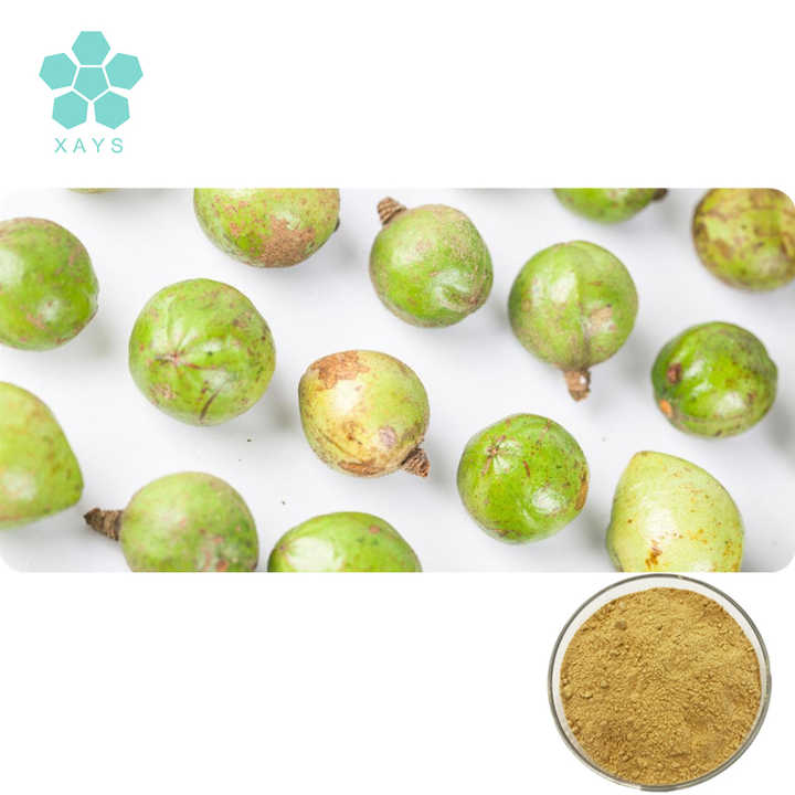 Organic Camellia Oleifera Tea Tree Seeds Extract Powder Saponin ...