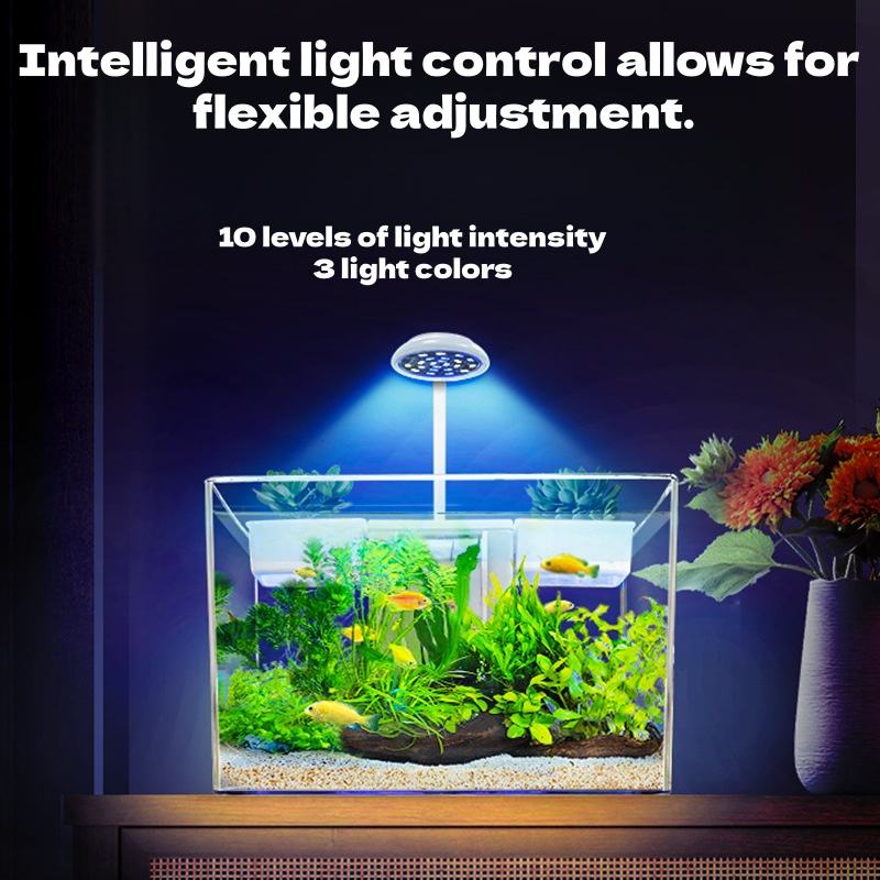 Mini and Compact Aquarium with Ecological Landscaping, Small to Medium ...