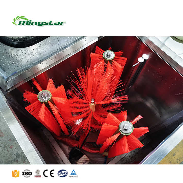 5 Gallon Plastic Bottle External Brush Washing Machine