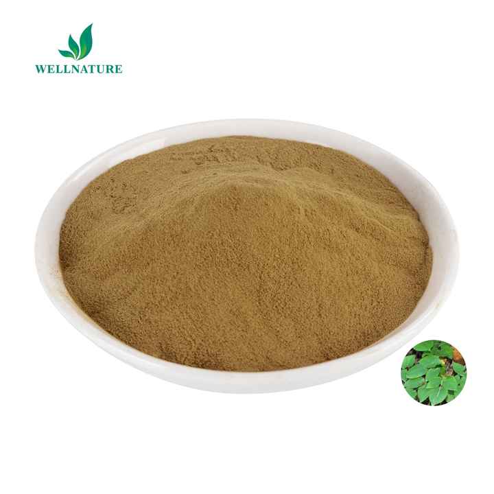 Warehouse Bulk Horny Goat Weed Epimedium Extract Powder Icariin Powder ...