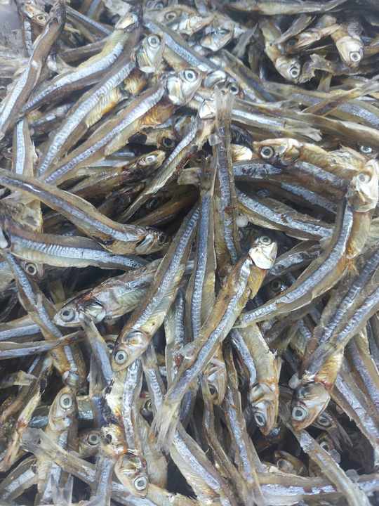 Dried Anchovy Fish from Vietnam - Nutritious Low-Salt Pet Food for ...