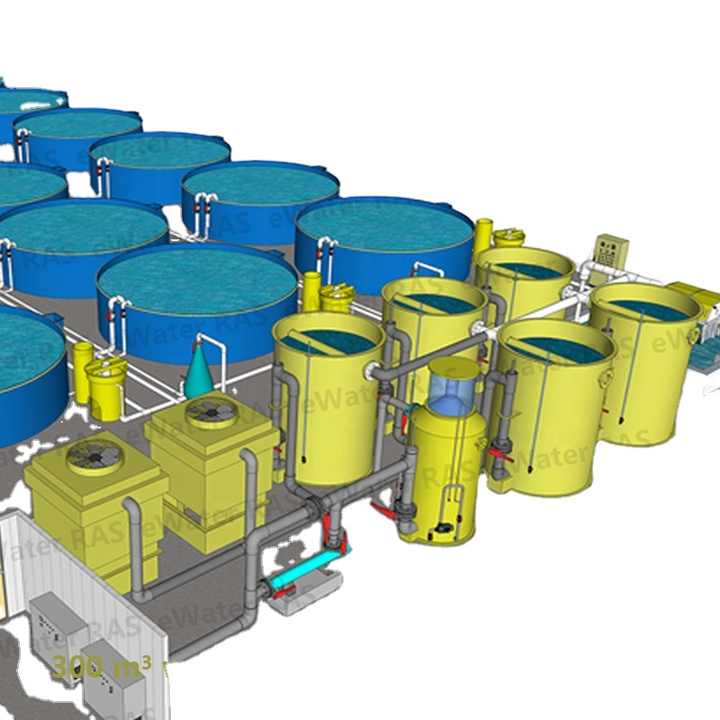 High Density Perch Farming - Efficient Land Based Aquatics