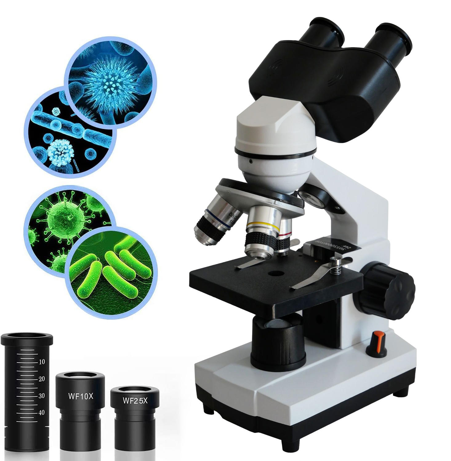 Custom Binocular Laboratory Microscope Adjustable Biological Stereo ...