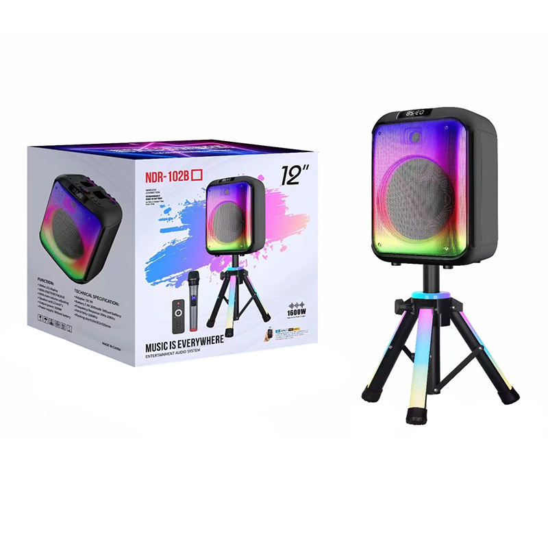 Tianlai 12 Inch Sounds Audio System - Portable Wireless DJ