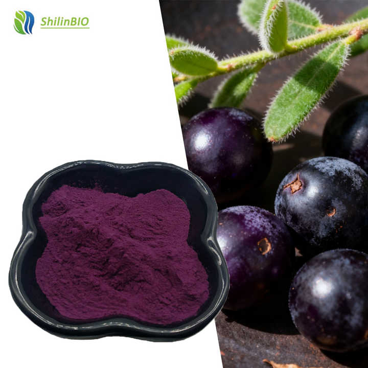 Water Soluble Acai Berry Extract/Acai Berry Juice Powder Acai Berry ...